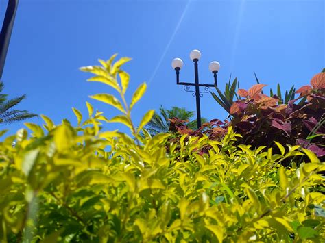 michael garcía michael garcía added a new photo