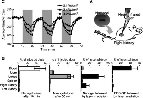 A A Scheme Showing The Administration Of The Gold Hydrogel Particle Download Scientific