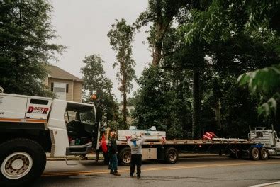 Tree Service Atlanta Tree Removal Atlanta GA Sesmas Tree Service