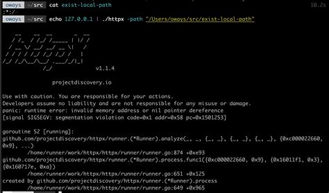 Panic Runtime Error Invalid Memory Address Or Nil Pointer Dereference