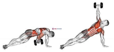 Dumbbell Side Plank With Rear Fly Home Gym Review