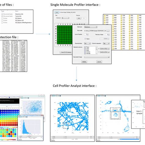 File Hierarchy Single Molecule Profiler Software Interface And
