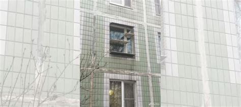 Балкончик для кошки Выгул в Москве Услуги Авито