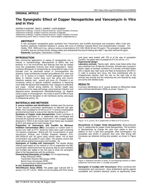 Pdf The Synergistic Effect Of Copper Nanoparticles And Vancomycin In Vitro And In Vivo