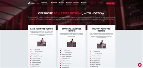 Adult Content Web Hosting Uptime Support