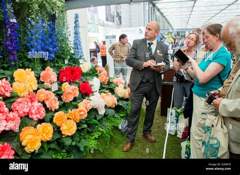 Rhs Chelsea Flower Show 2016 Blackmore And Langdon Begonias And