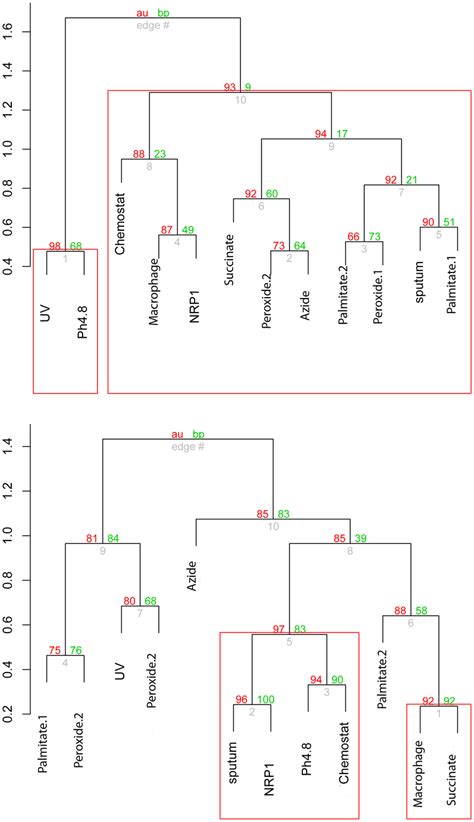 Clustering Of M Tuberculosis Gene Expression Datasets Clustering Of