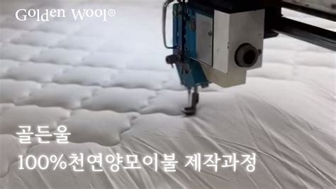 골든울 천연양모100이불 제작과정 Youtube