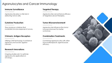 Agranulocytes Types Ppt Information Acp Ppt Slide