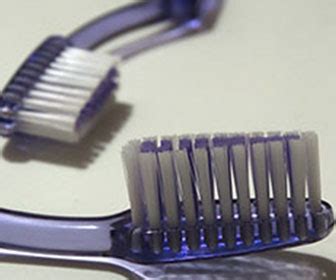La Verdadera Historia Del Cepillo De Dientes