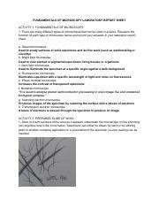 FUNDAMENTALS OF MICROSCOPY LABORATORY REPORT SHEET Pdf FUNDAMENTALS OF MICROSCOPY LABORATORY