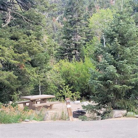 Upper Lehman Creek Campground Great Basin National Park