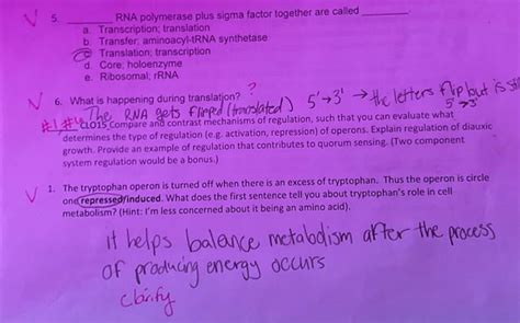 Solved 5 Rna Polymerase Plus Sigma Factor Together Are