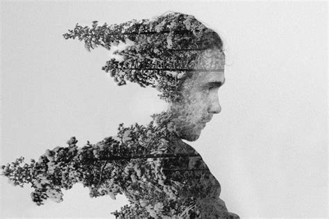 Inspired By Dan Mountford Rose Clements Flickr