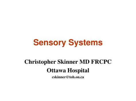 PPT Sensory Systems PowerPoint Presentation Free Download ID 2130063