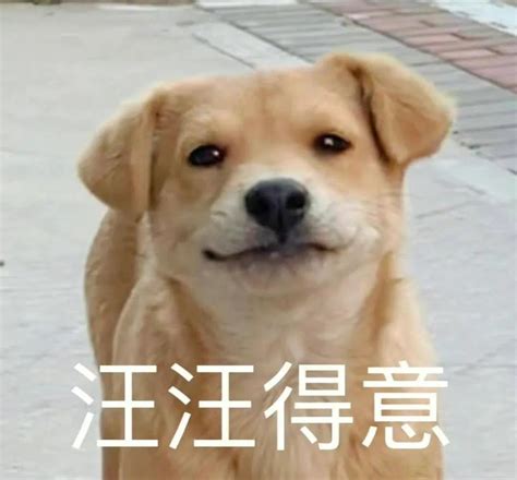 软件测试 知乎