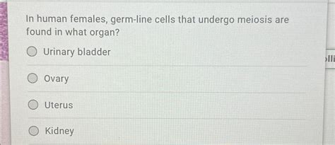 Solved In Human Females Germ Line Cells That Undergo