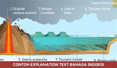 10 Contoh Explanation Text Singkat Generic Structurenya