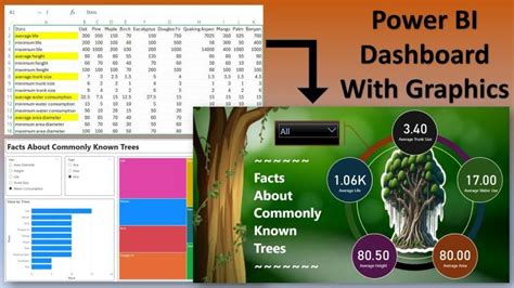 Adil Jawad On Linkedin Make Your Data Grow Tree Stats With Power Bi