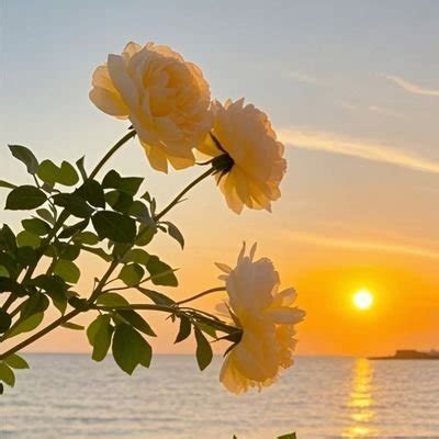 Happylikeawall Results On X Live Posts And Updates