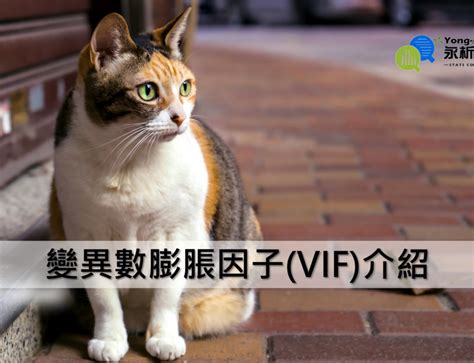 【excel 長條圖和折線圖合併 教學】 永析統計及論文諮詢顧問