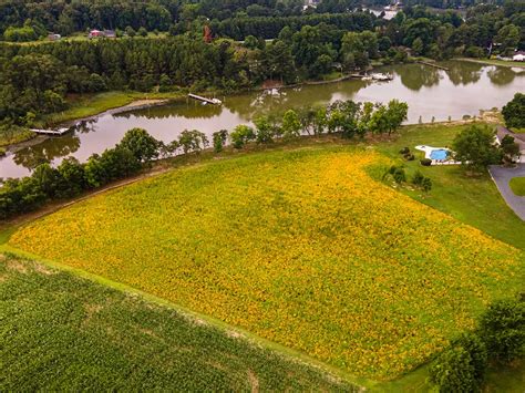 Environmental Preservation Weems Brothers