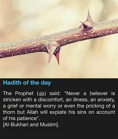 Mirza Baig Posted On Linkedin