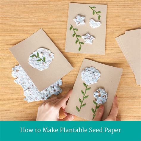 How To Make DIY Plantable Seed Paper Using Extra Holiday Boxes Seed Paper Plantable Seed