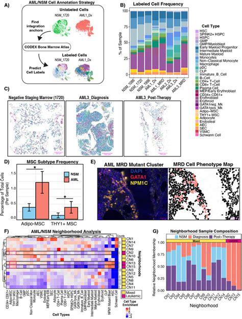 Mapping The Cellular Biogeography Of Human Bone Marrow Niches Using
