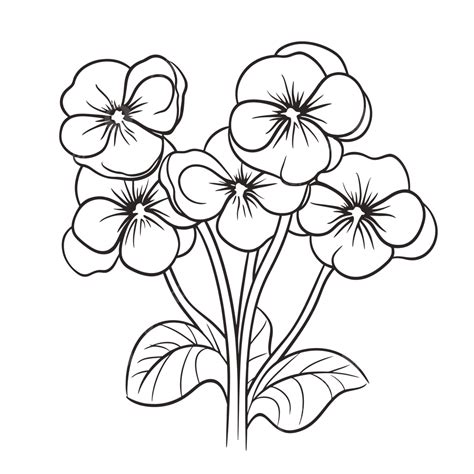 पैंसी फ्लावर कलरिंग पेज आउटलाइन स्केच ड्राइंग वेक्टर वायलेट ड्राइंग वायलेट रूपरेखा वायलेट