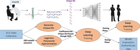 Architecture For Proposed Model Where In Training Phase Ecg Data Are