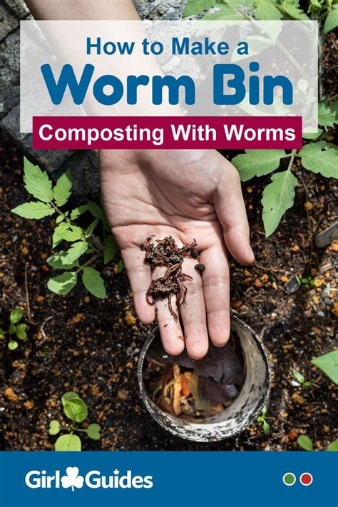 How To Make A Worm Bin Composting With Worms Worm Composting Compost Worm Composting Bin