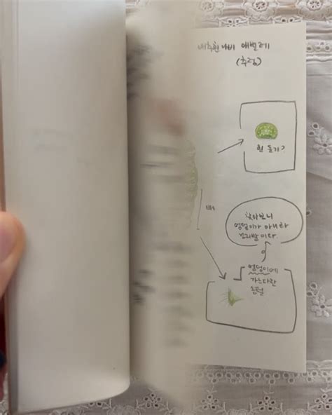 도서출판 갈라파고스🏝🏄🏻‍♀️ 📌세상의 어떤 인간도 신뢰할 수 없다 그렇기에 오히려 함께 살아갈 수 있다 6월의 신간 78년생 여성 문화인류학자 오가와 사야카