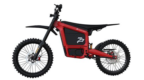 Grasshopper Electric Dirt Bike Electripet