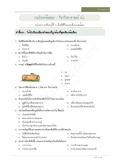 แบบทดสอบ แบบฝึกหัด รวมโจทย์ข้อสอบ วิชาวิทยาศาสตร์ ป 6 หน่วยการเรียนรู้ที่ 2 สิ่งมีชีวิต