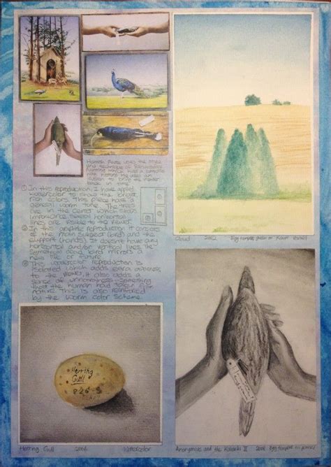 Igcse Aandd Portfolio