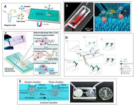 Sensor Integrated Microfluidic Approaches For Liquid Biopsies