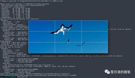 Ffmpeg Filter浅析 下篇 腾讯云开发者社区 腾讯云