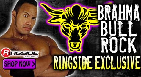 The Rock Brahma Bull 2013 Why Did Dwayne Johnson Cover His Brahma Bull