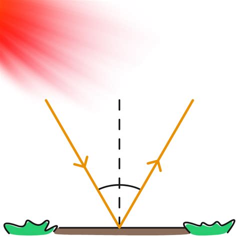 Class 9 Classification Of Plants Easylearning