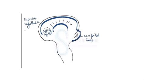 Lateral Venous Sinuspptx