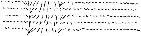 19 Photo Of Visualization Of Suction Surface Flow For The Re100000