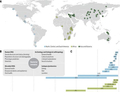 Going Local With Ancient DNA A Review Of Human Histories From Regional