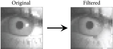 Examples Of Specular Highlight Removal Using The Proposed Filter A