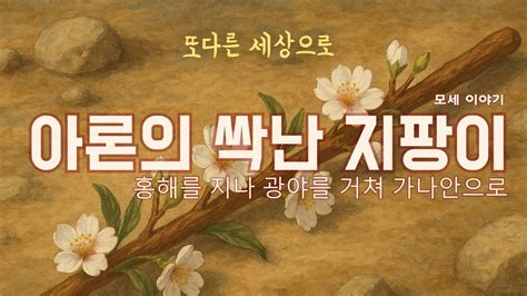 2025 05 06 모닝토스트 민수기 17 1~13 아론의 싹난 지팡이 Torontojoosarang Youtube