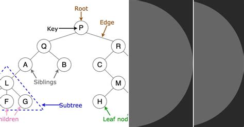 List Dsa Curated By Raviprakash Medium