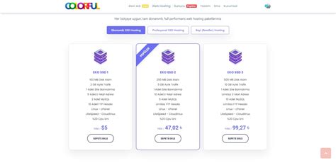 Colorful Theme Marketplace Wisecp