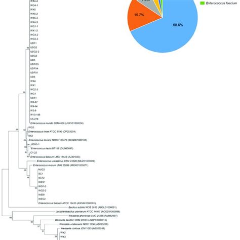 Phylogenetic Tree Based On The 16s Rrna Gene Sequence Analysis A And