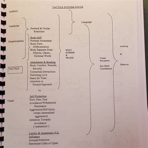 Alex Lopiccolo On Instagram “fantastic Sensoryintegrationtherapy