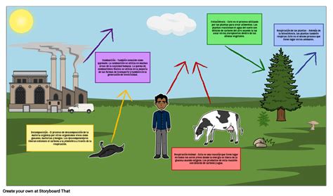 Diagramas Del Ciclo Del Carbono Aprenda Ecología Con Storyboard That